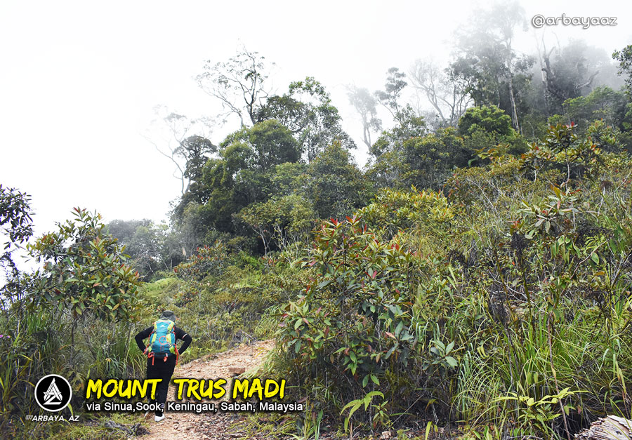 Mount Trusmadi (Via Sinua,Sook - Mannan Trail) - AAZ