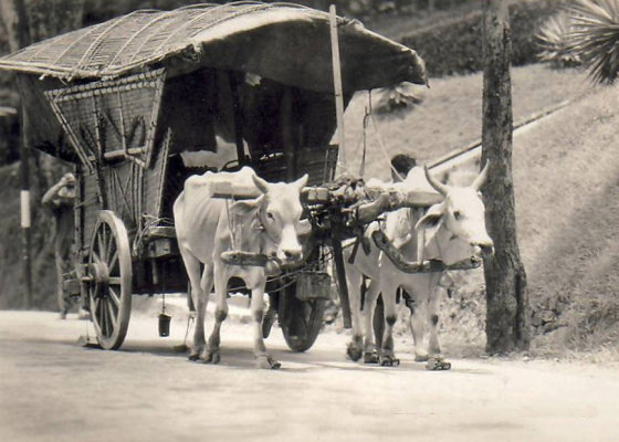 Bulumanis tersenyum: Masa Kecilku 3 ( gerobak sapi )