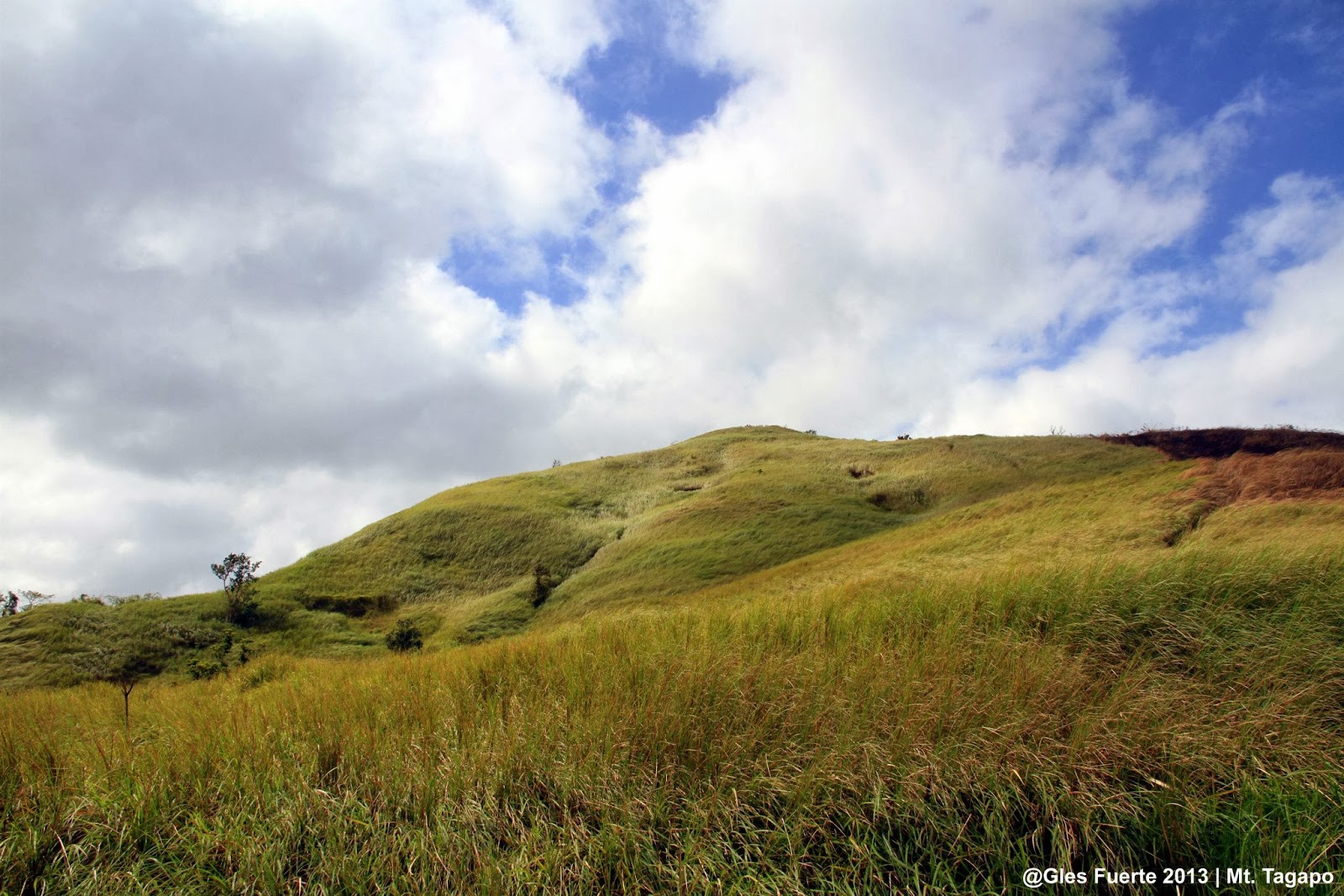 Explore.Dream.Discover: Trekking Mt. Tagapo