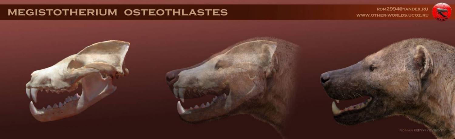 Escenarios prehistóricos: Megistotherium