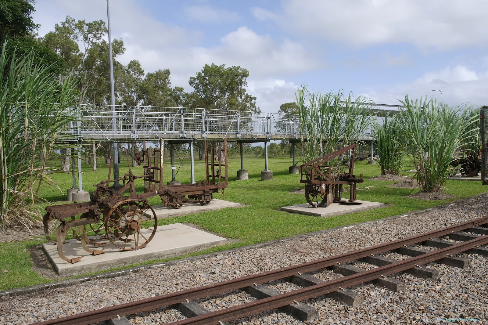 Can Go Around Australia: Ingham