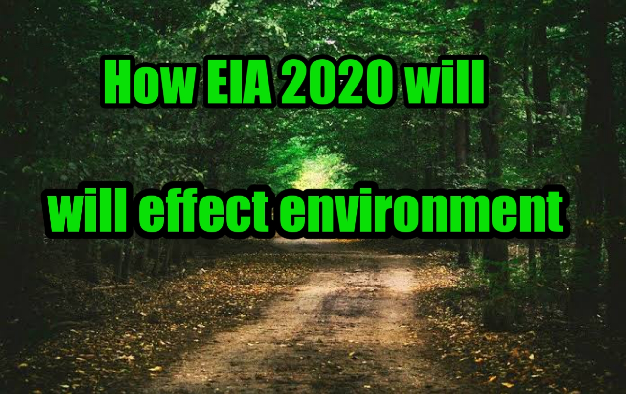 What is EIA 2020
