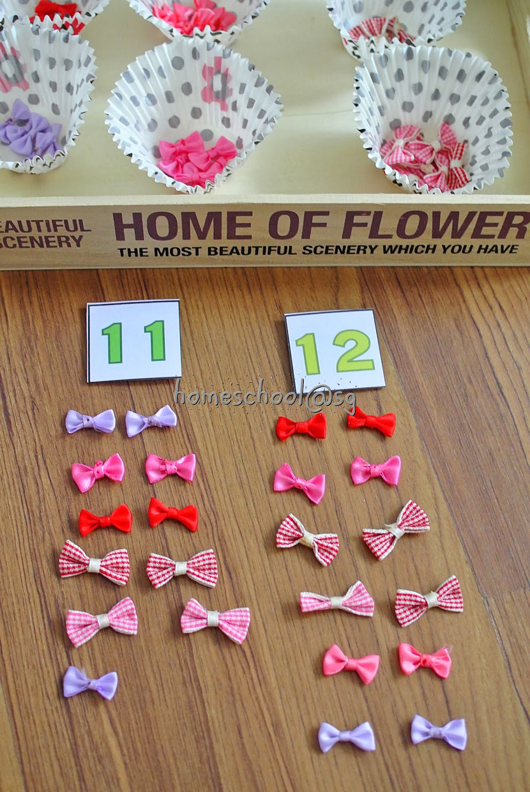 Homeschool@sg: Count my ribbons!