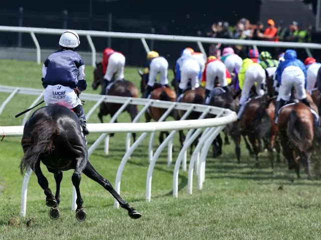 anna maria: Melbourne Cup tragedies: How many horses have died during ...