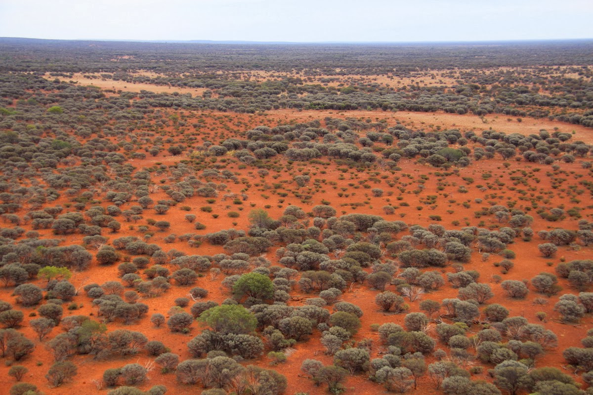 Wedge-tailed Eagle Tracking: Study Area