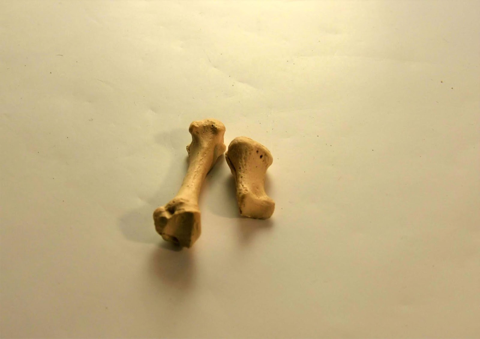 oase gips: Oase din gips