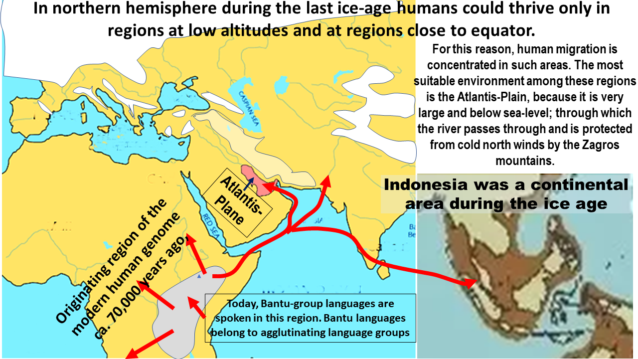 Dynamical Organisation Mechanism (DOM) in Nature : Atlantis