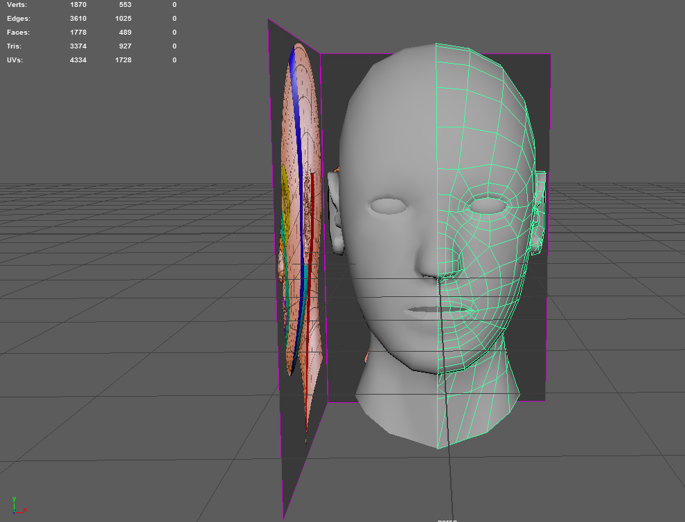 UCA CGA Year 1: 3D Art Production - Head Model