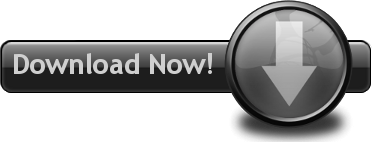 Official DELF A1 A2 B1 B2 Sample Papers 2014: 2014