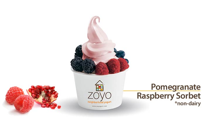 Fresh off the vine: Zoyo's yogurt and fun