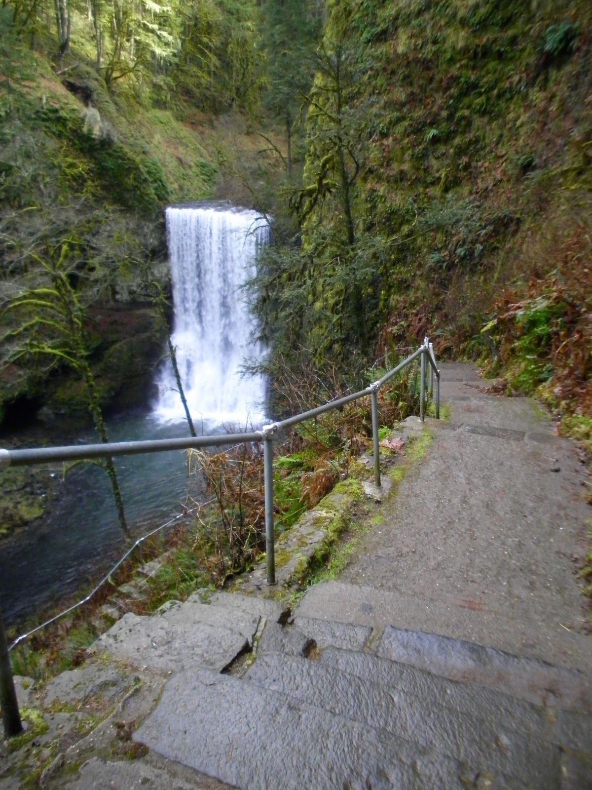 Black Watch Sasquatch: Silver Falls State Park - Silverton, Oregon