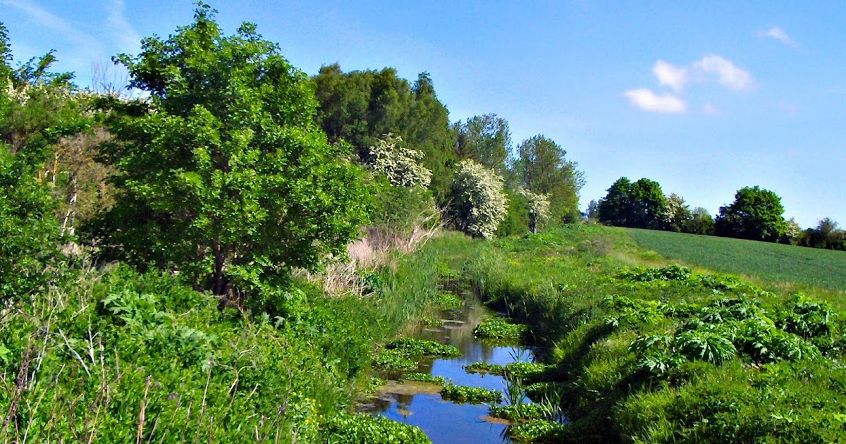 Karen`s Nature Photography: Blue Stream and Blue Sky.