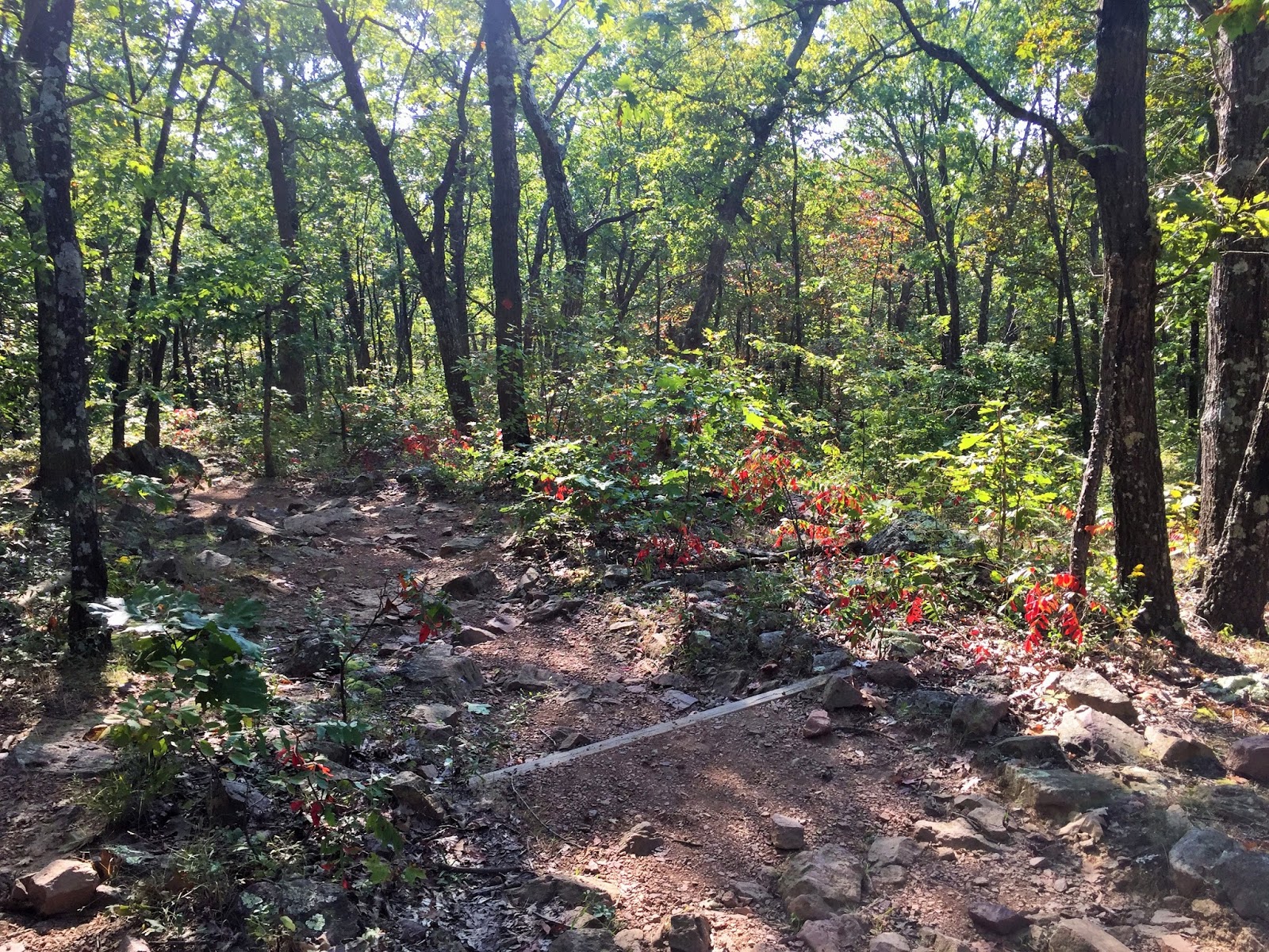 Down the Road: Missouri High Point, An Old Abbey & Learning about Lead