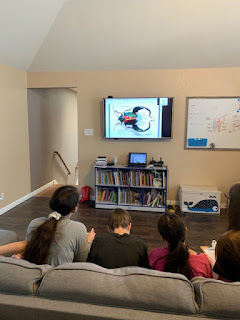 Cummins Life: NatureGlo's eScience MathArt & Science Course Bundle Review