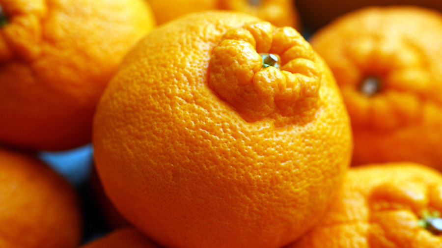 Cariocas da Montanha: A fruta do mês: tangerina