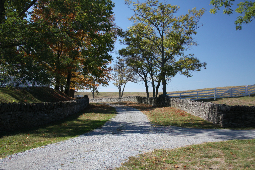 Wayfarin' Stranger: Stone fences