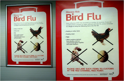 maqis_puteriharbour: Selsema burung (AVIAN INFLUENZA)