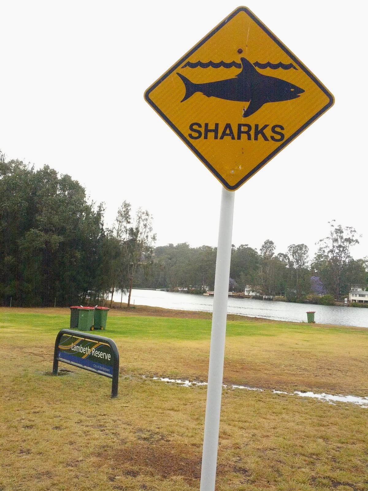 Bun viaţă : Fishing Georges River, Lambeth Street Reserve