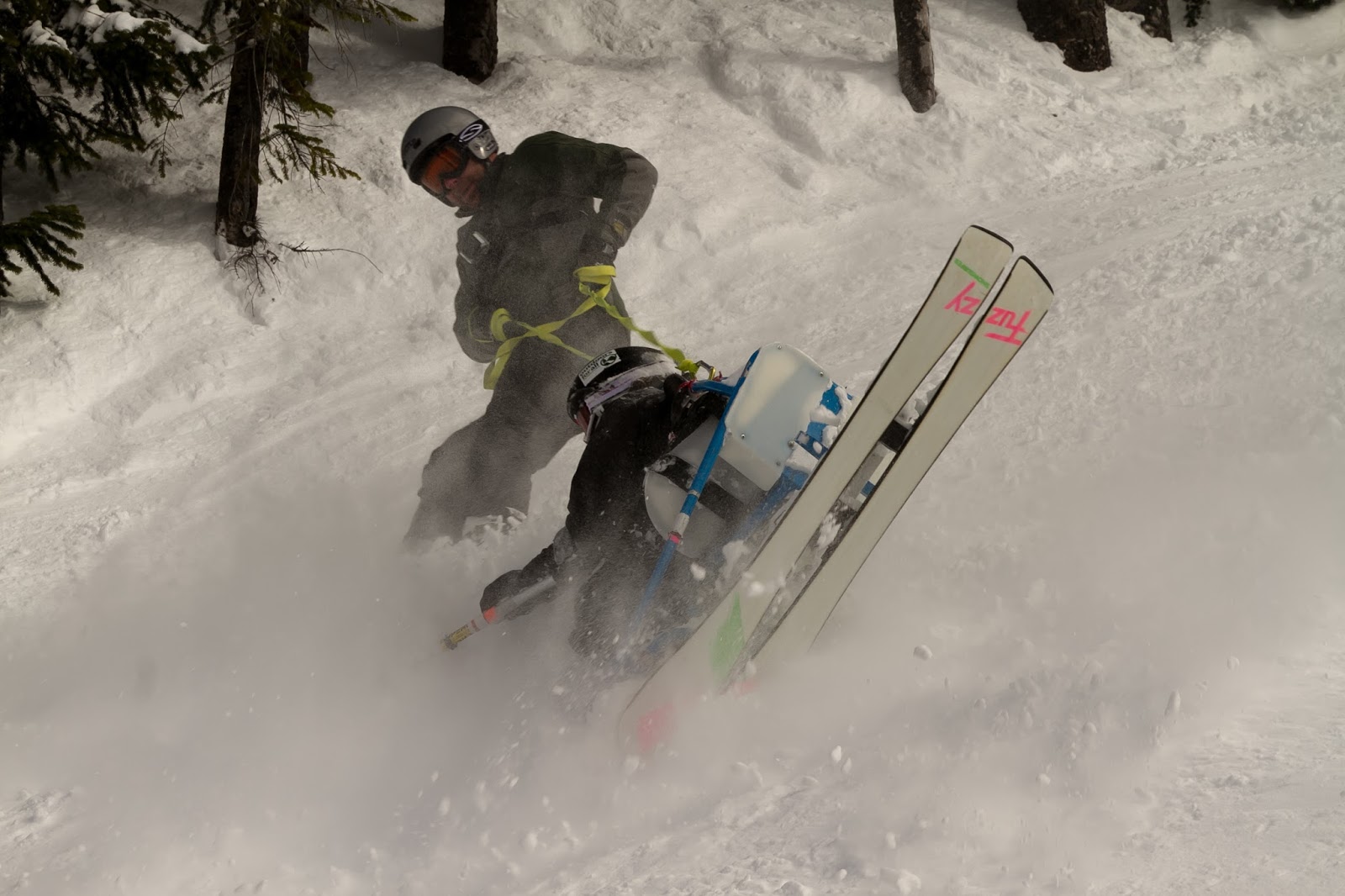 Wheelchair Wandering: (Sit) Skiing