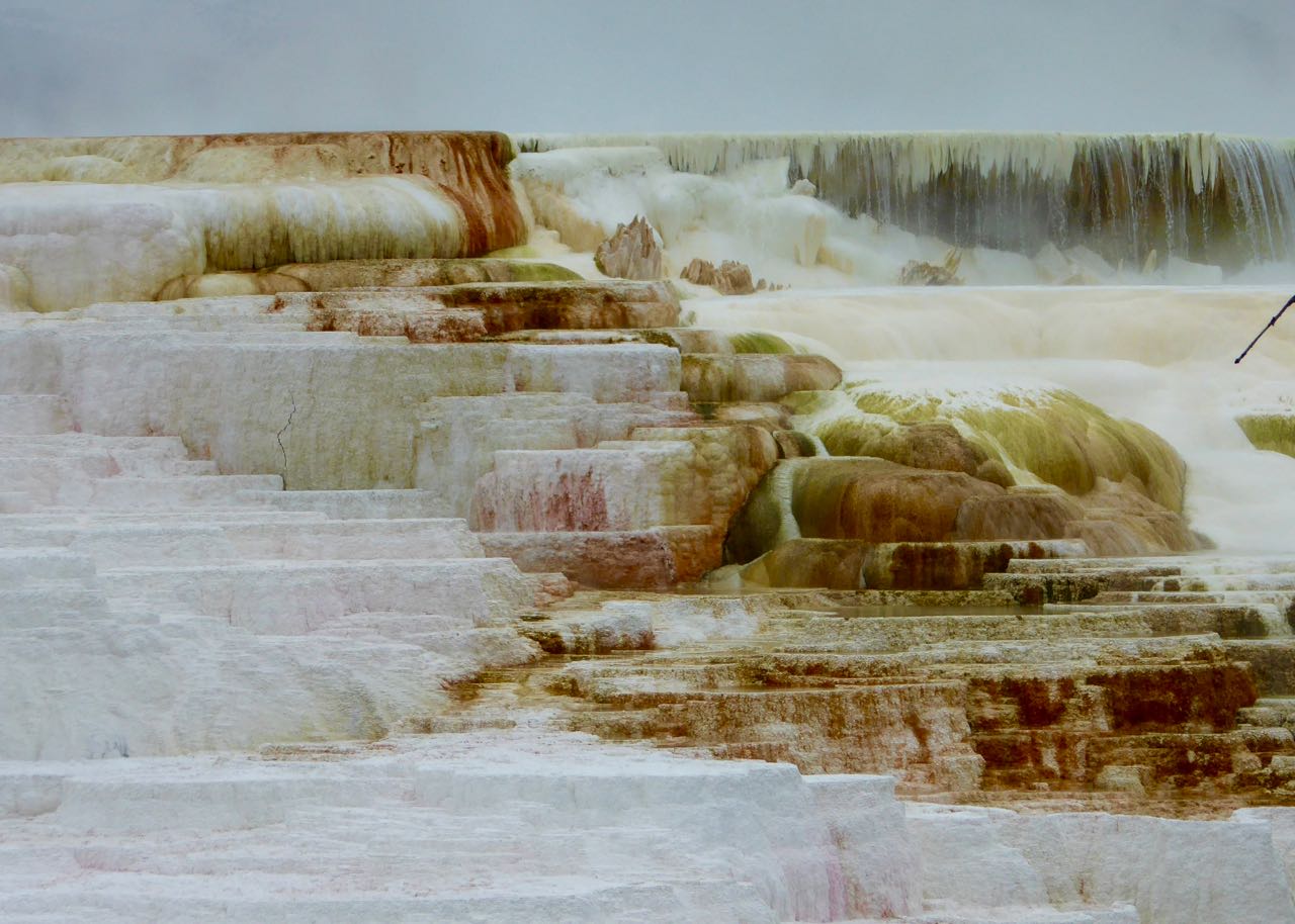 Greg's Running Adventures: Yellowstone National Park