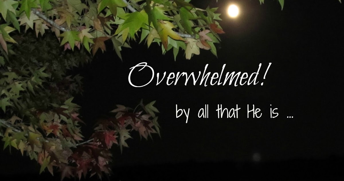 Jerralea's Journey: AmaZing Overwhelming Love