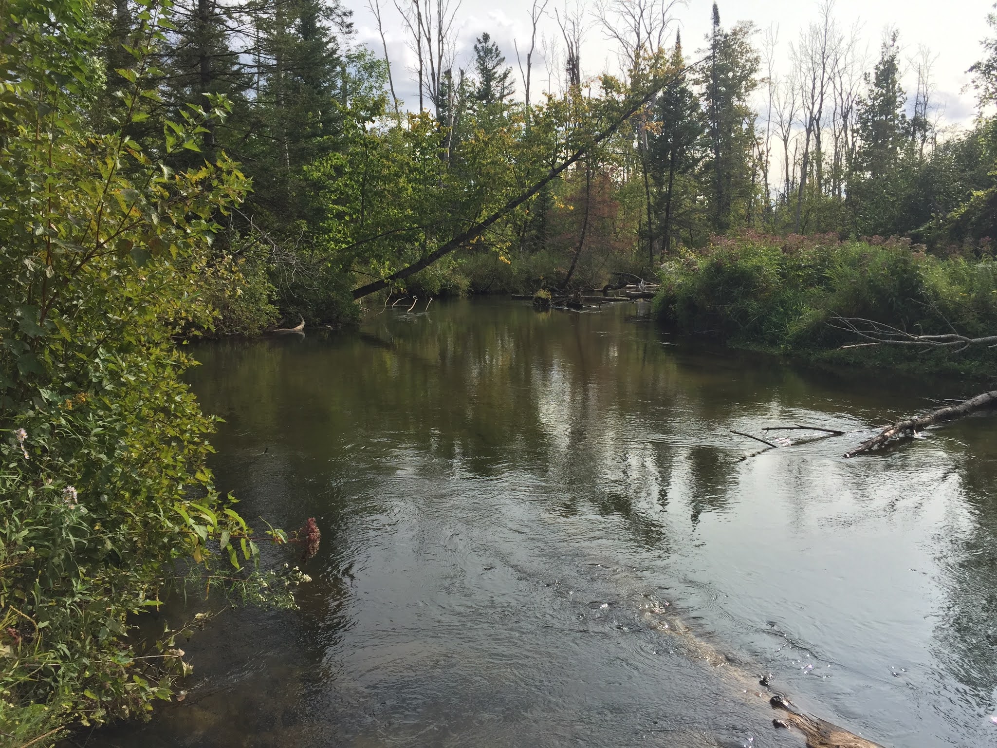 Travel Reviews & Information: Northeast Lower Michigan: Rifle River ...