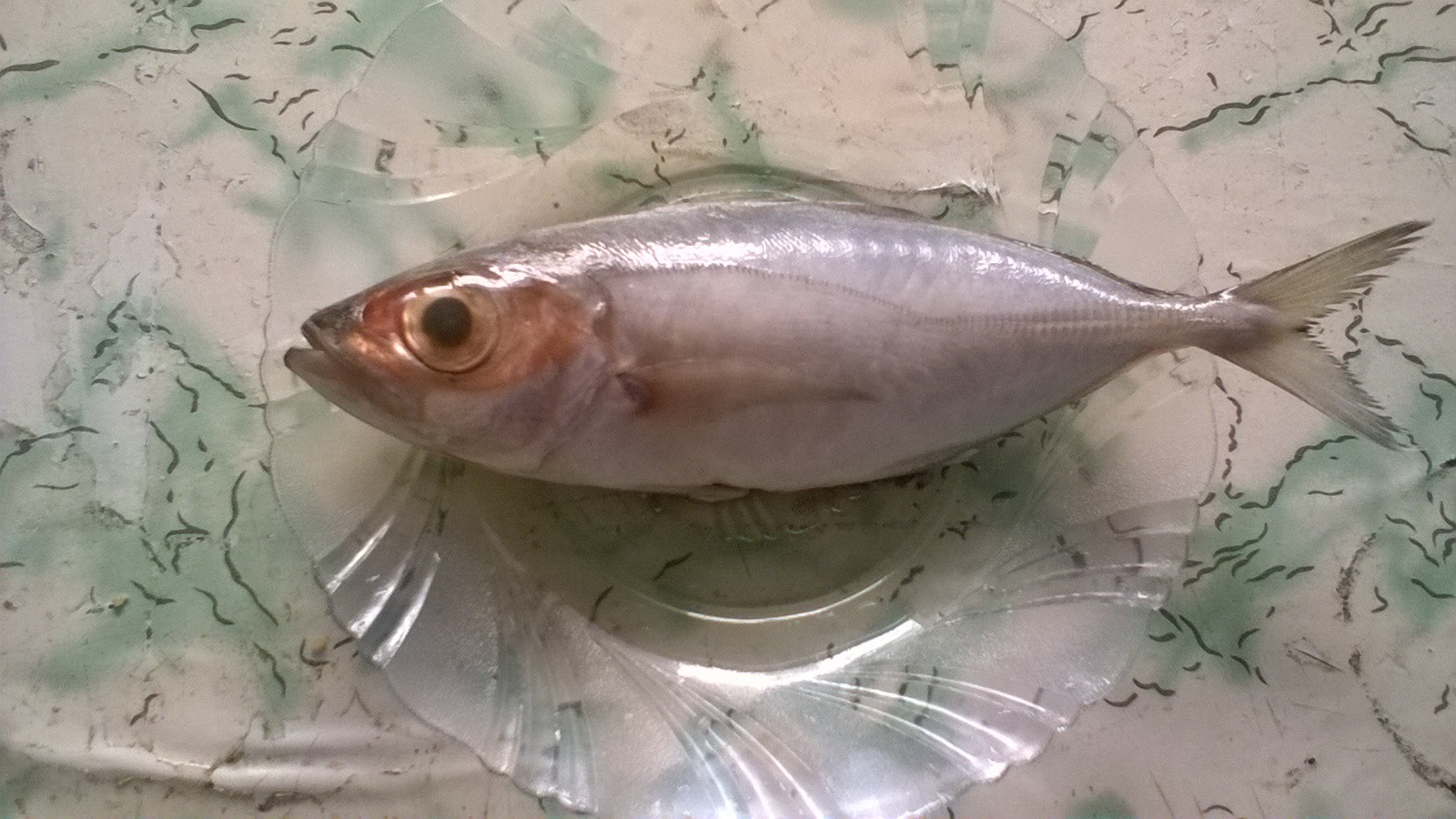 Beauty with Kummy: Ikan Kembung Kuah Merah: Bergizi dan Rasanya 'Wah'
