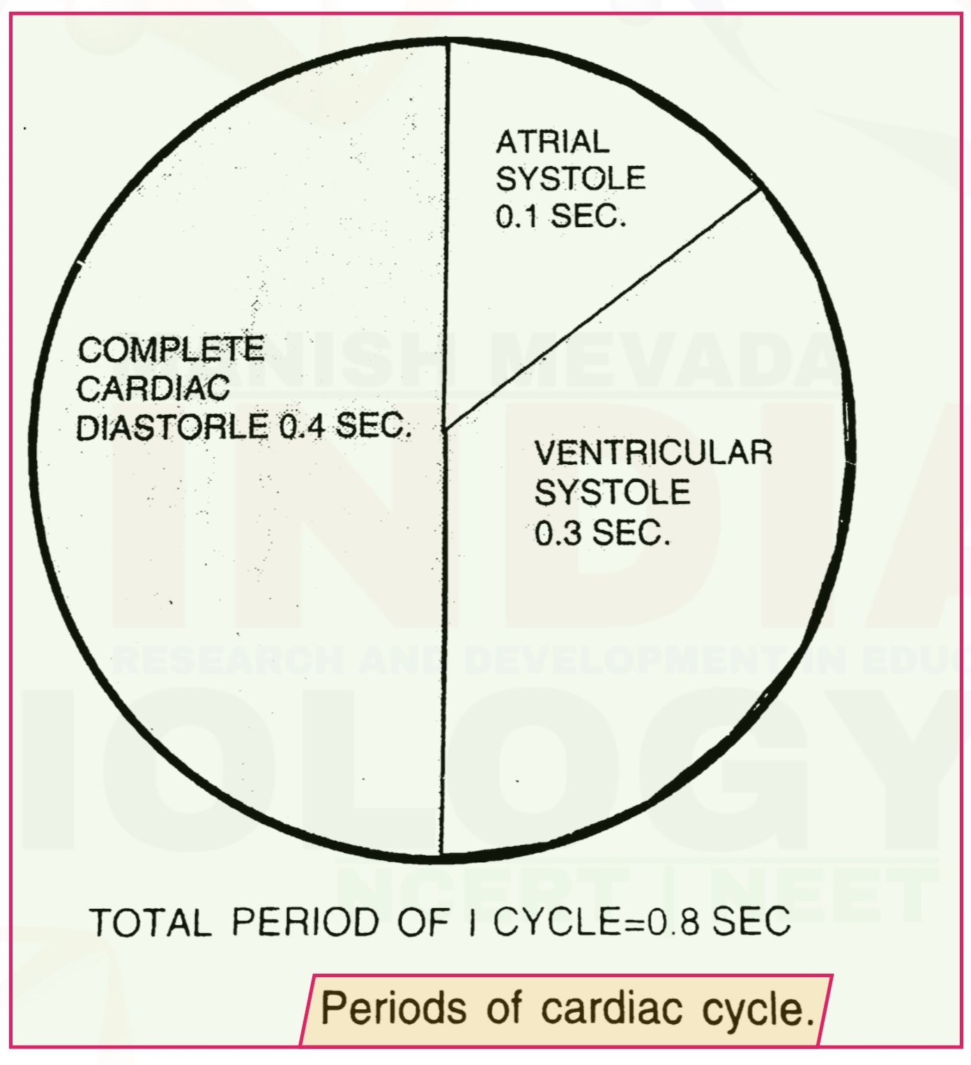 Cardiac Output | Pulse | Cardiac Cycle