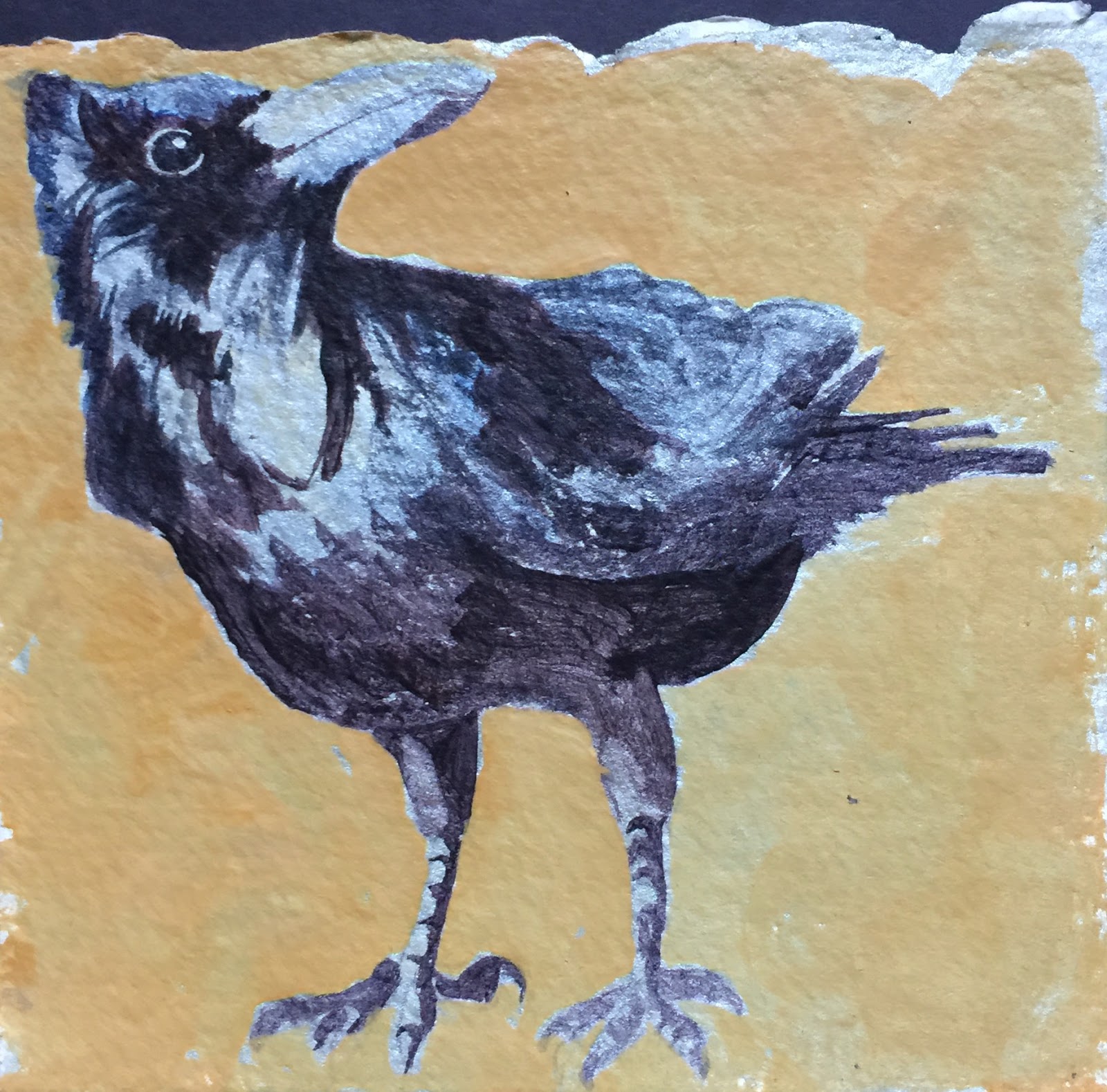 Postcards in the Air : A MURDER OF CROWS by Terri Hinte