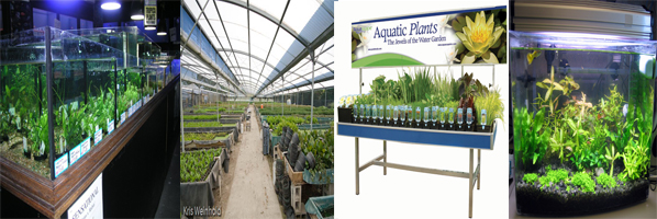 Science Technology Plant Science Science Technology Plant Science