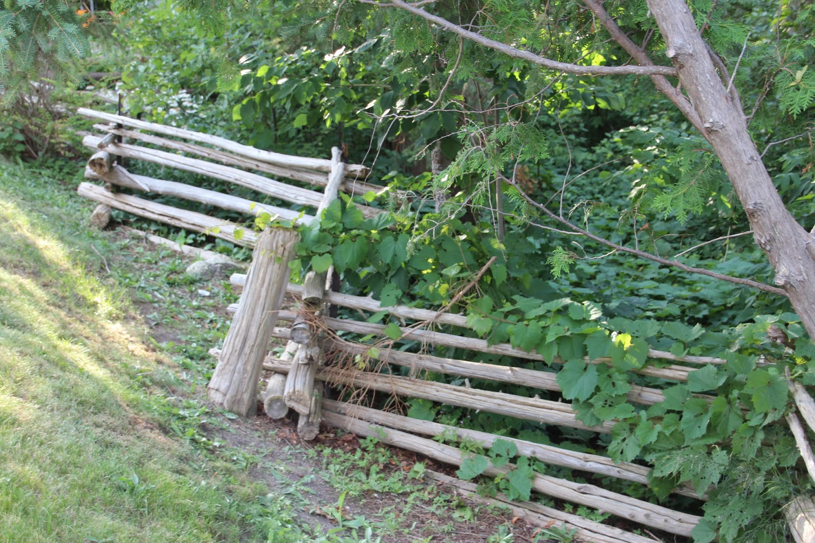 VISUAL SAINT PAUL: Rugged-Good Fences