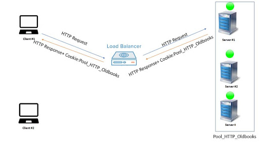Cookie Persistence Methods ~ Network & Security Consultant