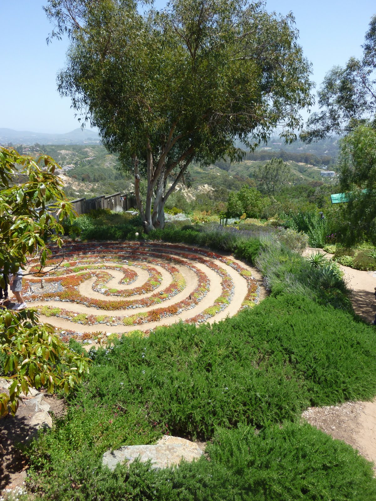 A Place to Share: Welcome to the Encinitas Garden Tour on Crest Drive