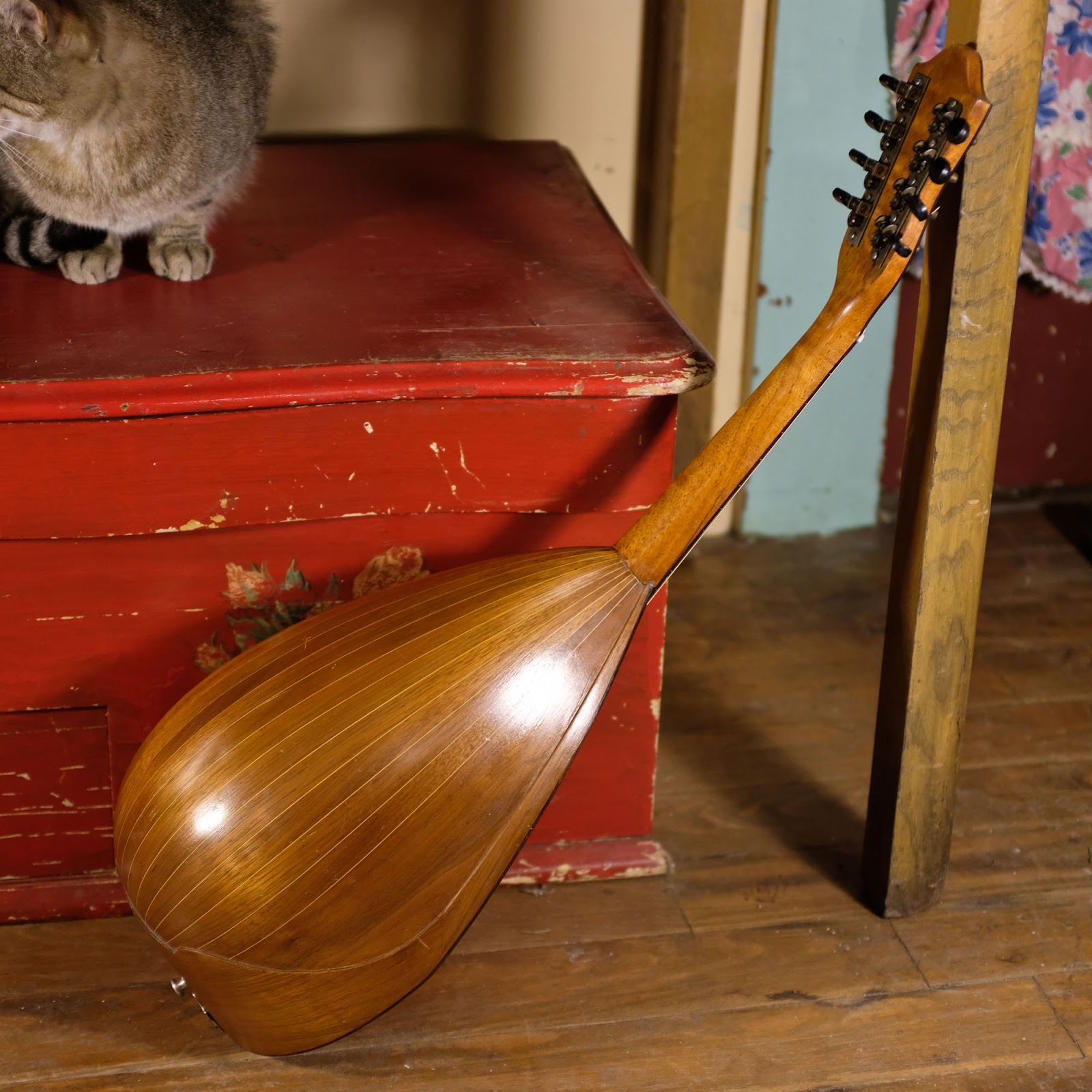 1890s Eugene Howard Bowlback Mandola