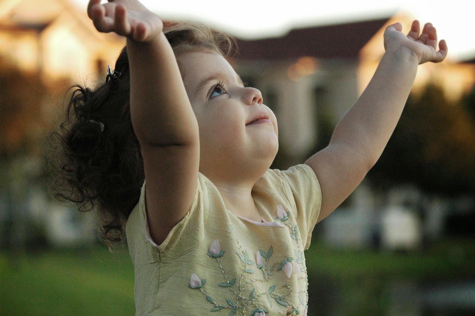 El Libro "Te Amo Espíritu Santo": Adora y Gloria descendera
