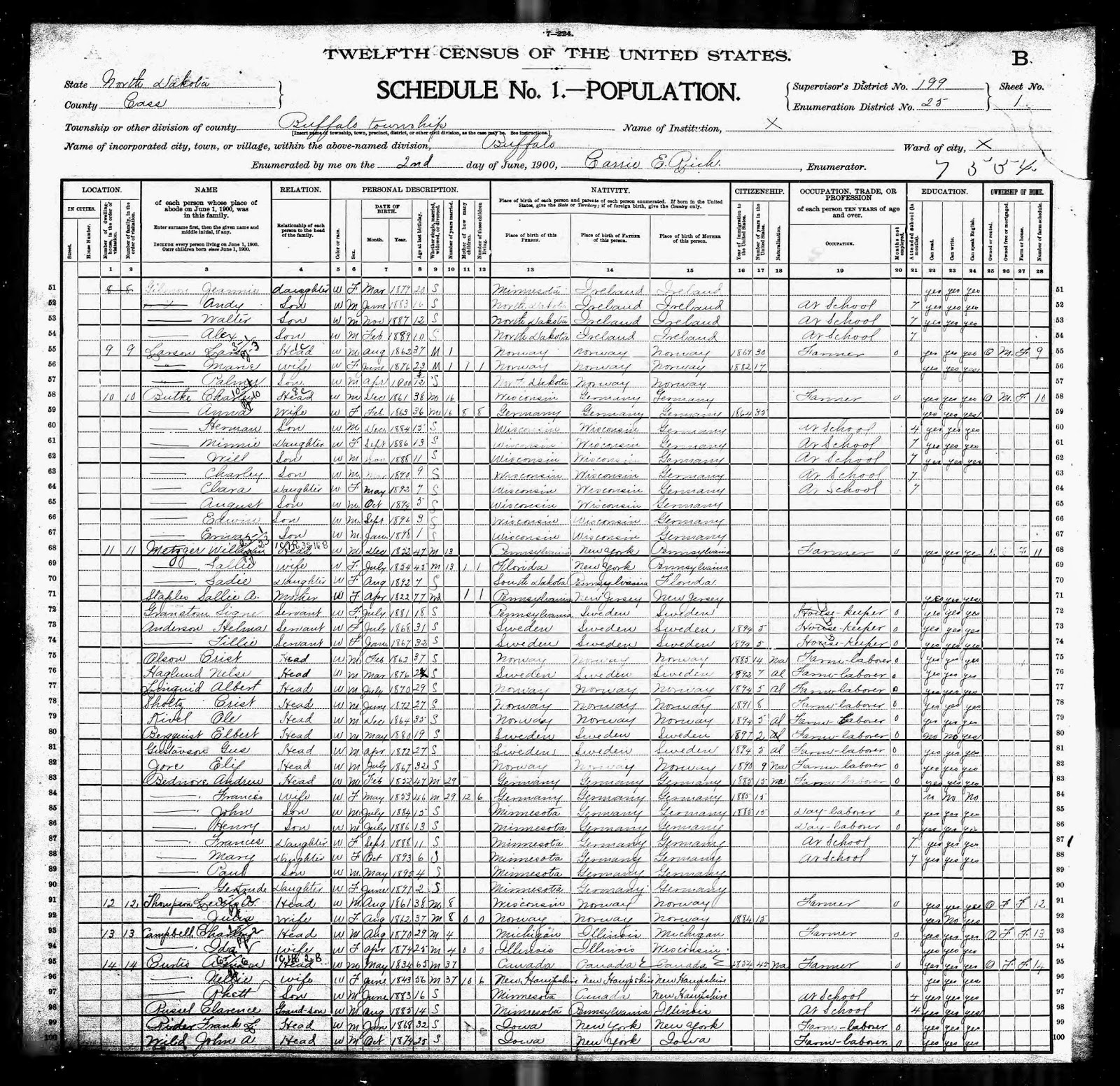 Remembering Patricia Sullivan Hanson: Using Census Data to Find Grandma