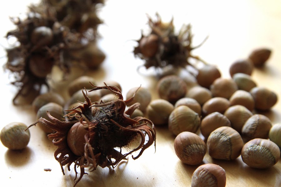 Cardamom: Essentiële Vetzuren: linolzuur & alfa linoleenzuur