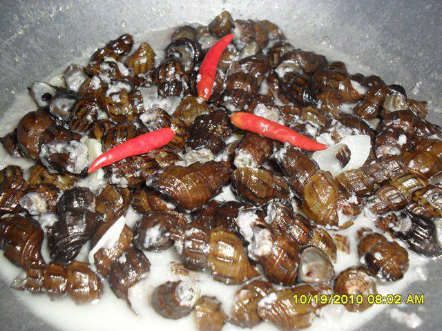 boy kura'mos: Enero 2012