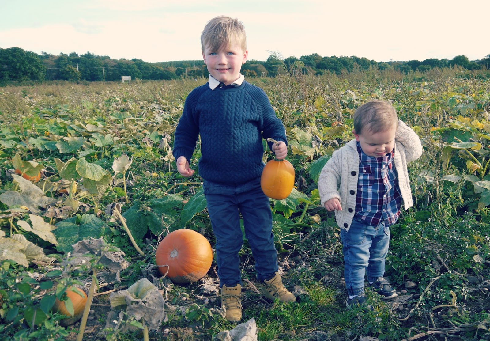 PUMPKIN PICKING