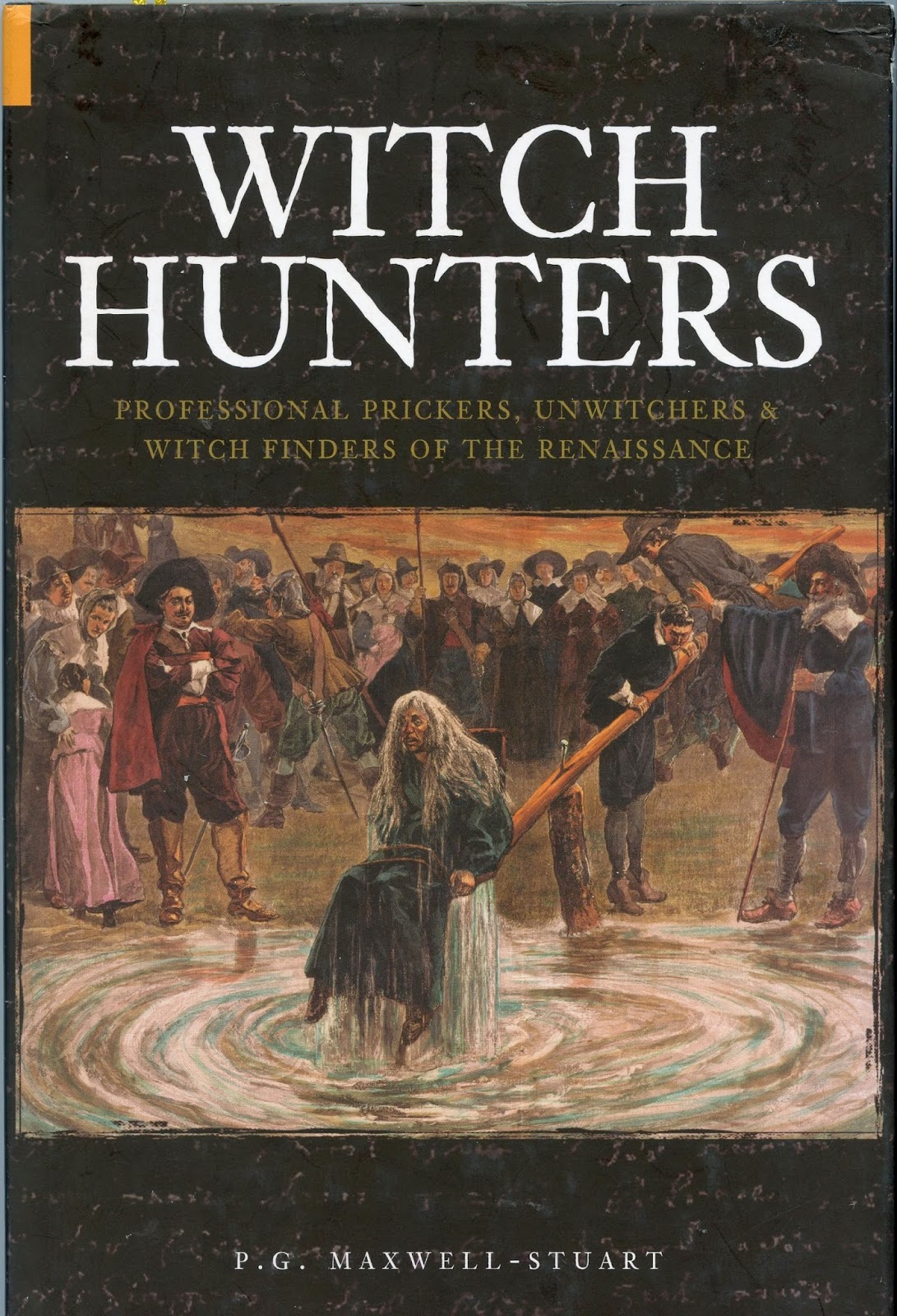 Here Be Bookwyrms: Witch Hunters: Professional Prickers, Unwitchers ...