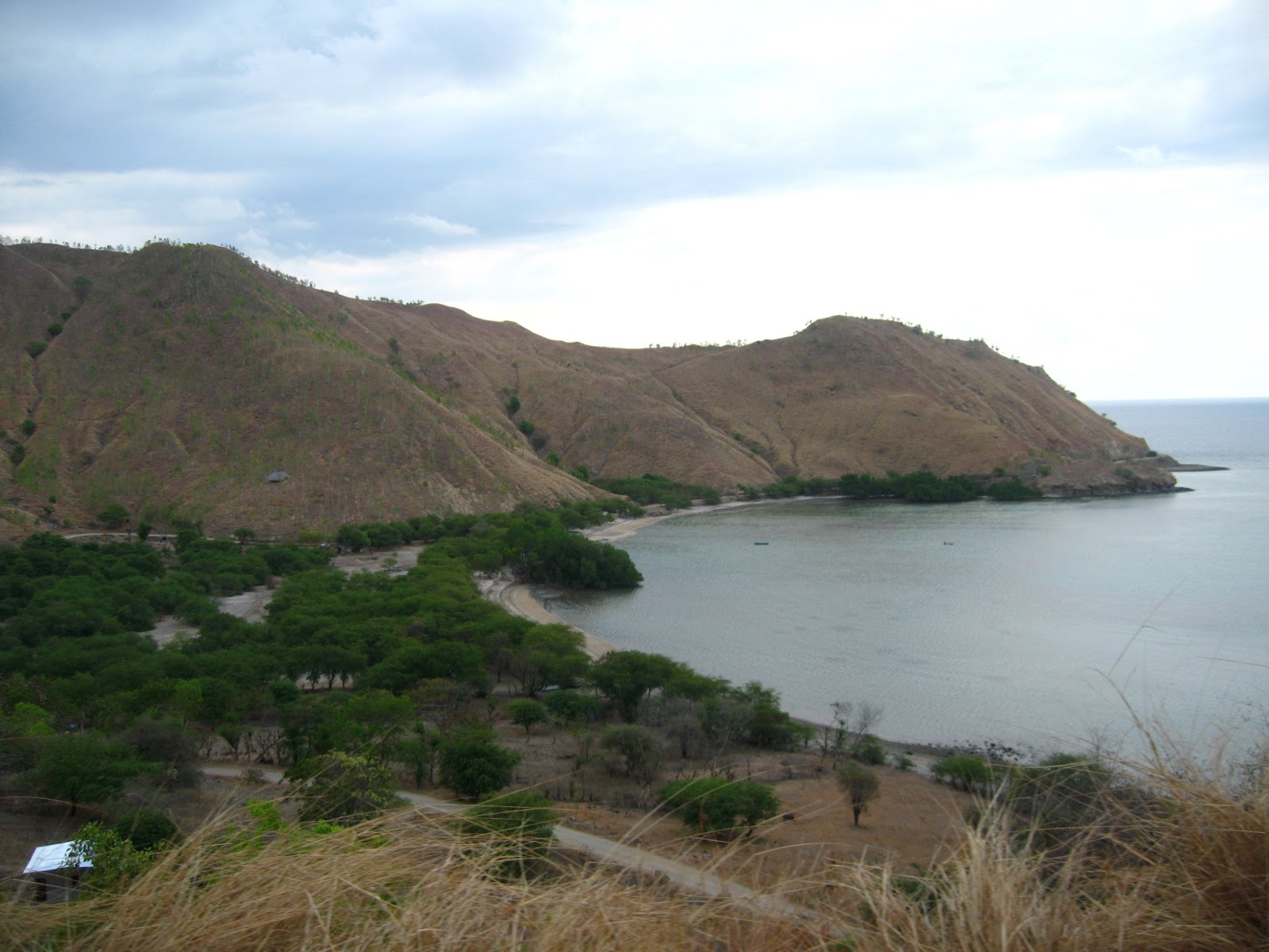 Owl-love-beauty: Trip to Dili - Timor Leste