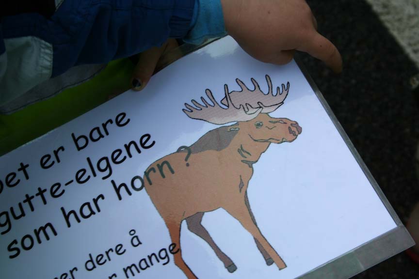 Tjura Barnehage: Elg og traktorpunktering