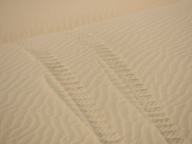 mnkcusa: Yuma AZ, Imperial Sand Dunes
