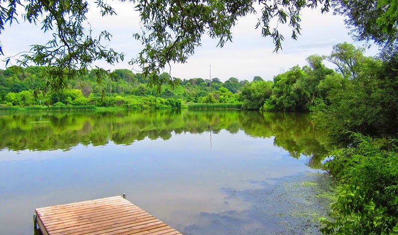 Líneas y Manchas: En Princess Point, Hamilton, ON, Canadá