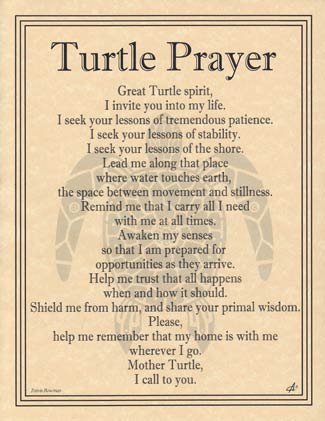 Enchanted Cauldron: Turtle Prayer