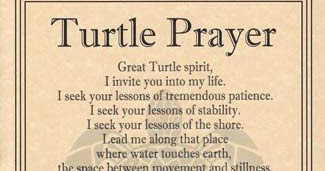 Enchanted Cauldron: Turtle Prayer