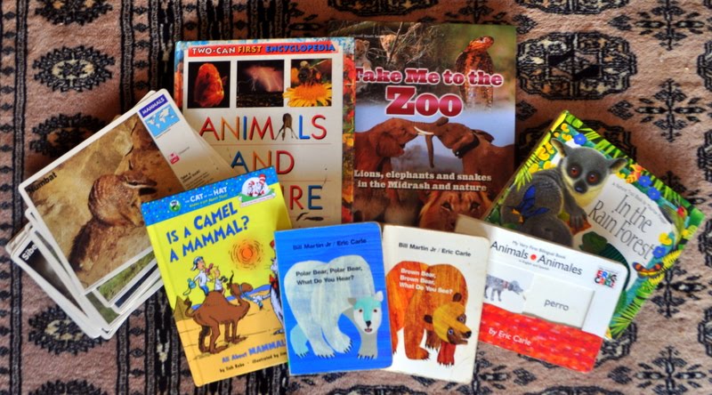 A Jewish Homeschool Blog: Parshas Shemini- Kosher Animals