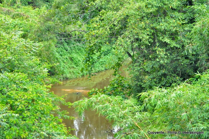 philipveerasingam: Wak oya, Kaluaggala, Sri Lanka.