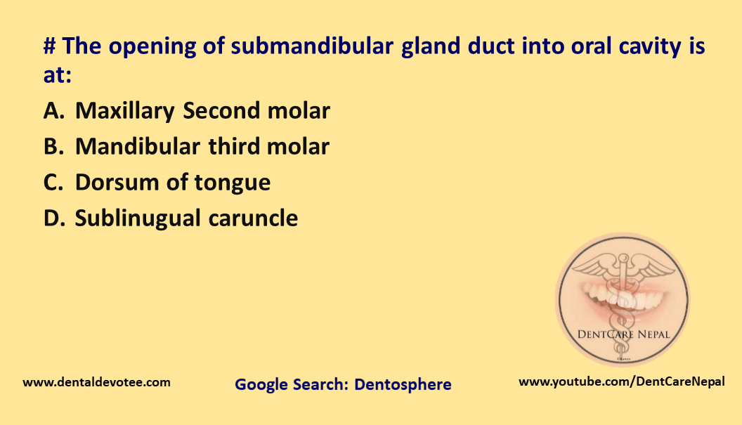 Dentosphere : World of Dentistry: Opening of submandibular gland duct: