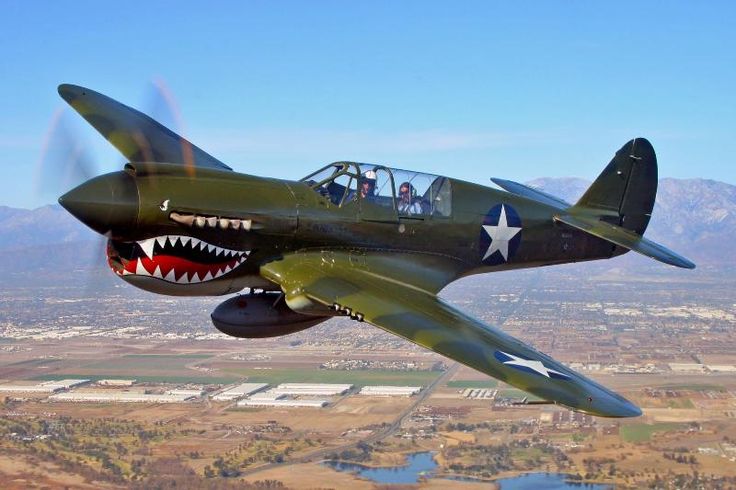 .: Curtiss P-40 Warhawk, caza